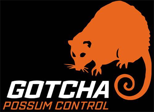 Possum Boxes Melbourne - Gotcha Possum Control